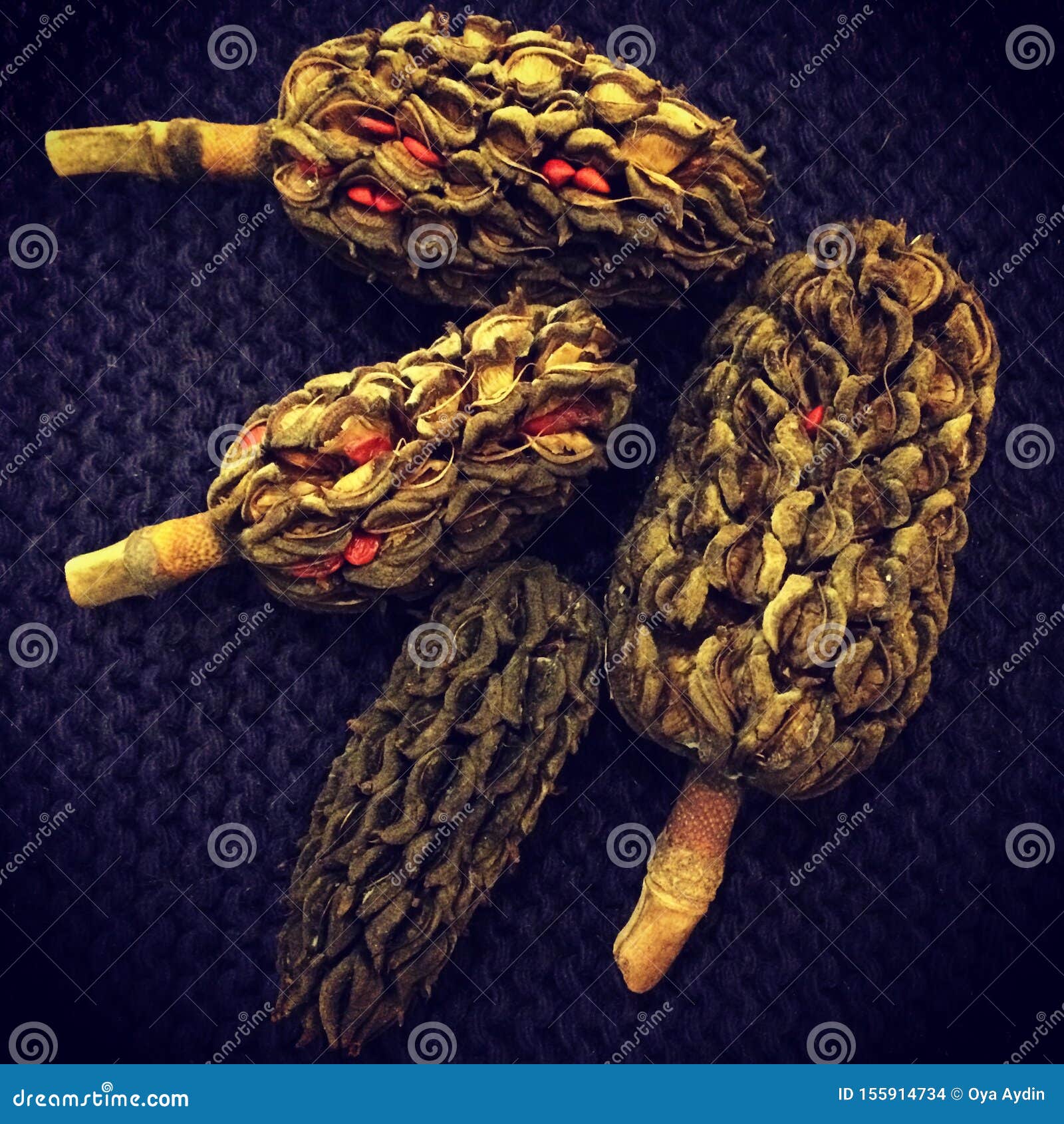 Decorative Cone with Red Fruit Stock Photo - Image of park, cones ...