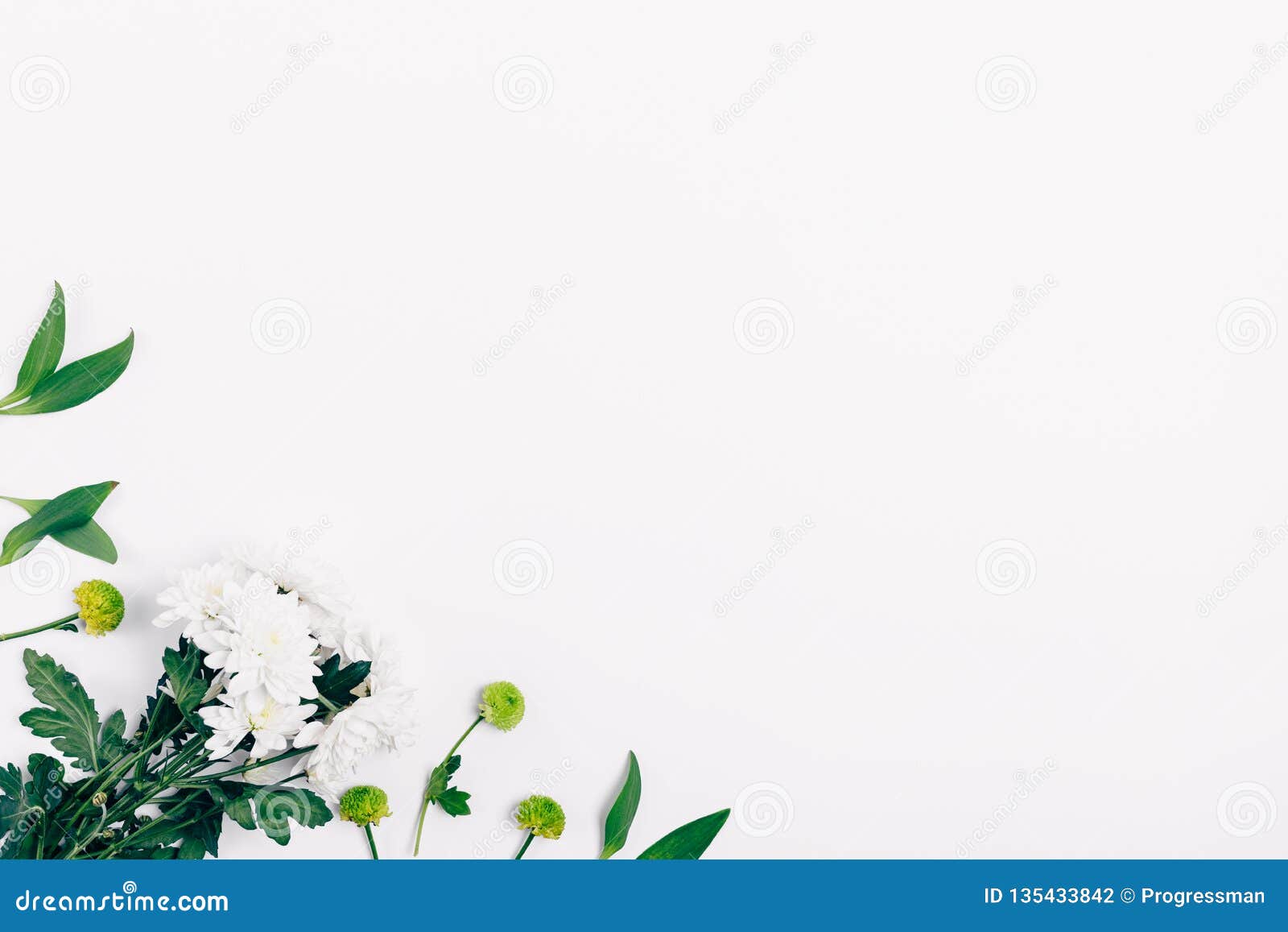 Decorative Corner Frame of Green Leaves Stock Photo - Image of blossom ...