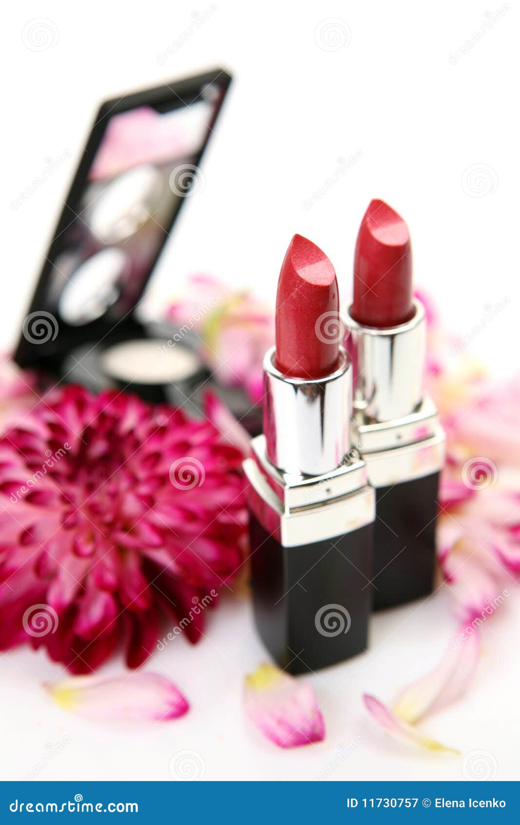 Decorative cosmetics stock image. Image of glamour, makeup - 11730757
