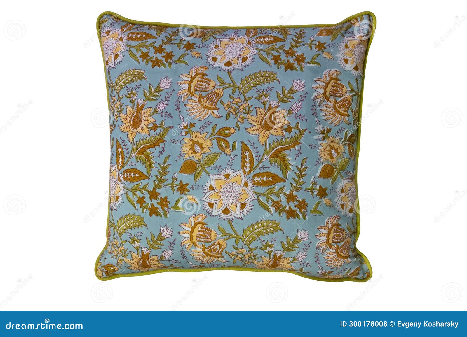 Decorative couch cushion stock photo. Image of decorative - 300178008