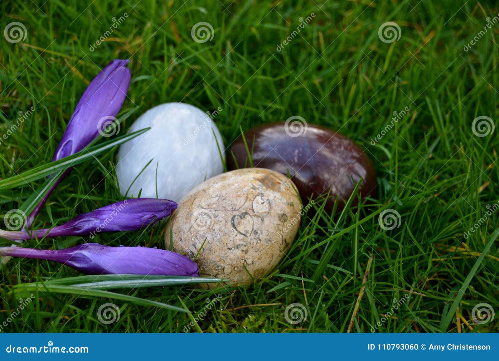 Polished Egg Shaped Rocks Photos - Free & Royalty-Free Stock Photos ...