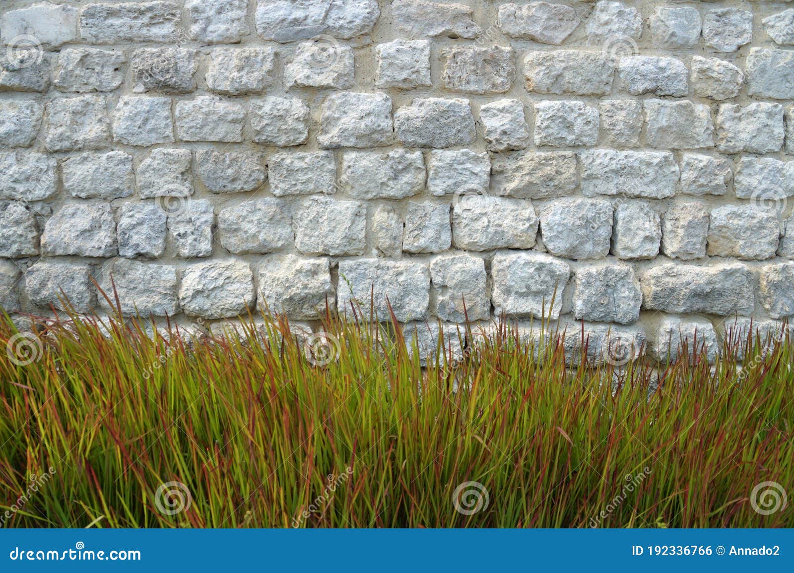 Decorative Curb Grass on the Background of an Old White Stone Wall ...