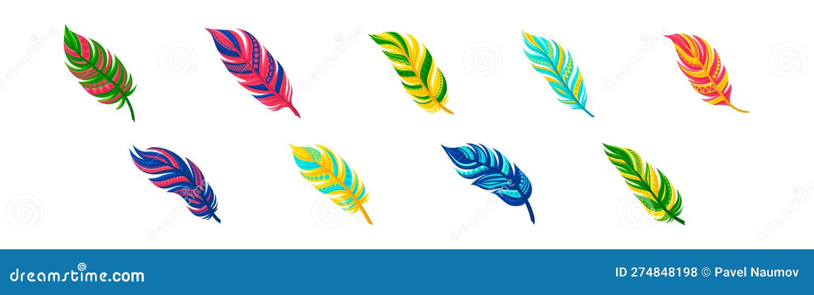 Decorative Curved Feathers As Avian Plumage Vector Set Stock Vector ...