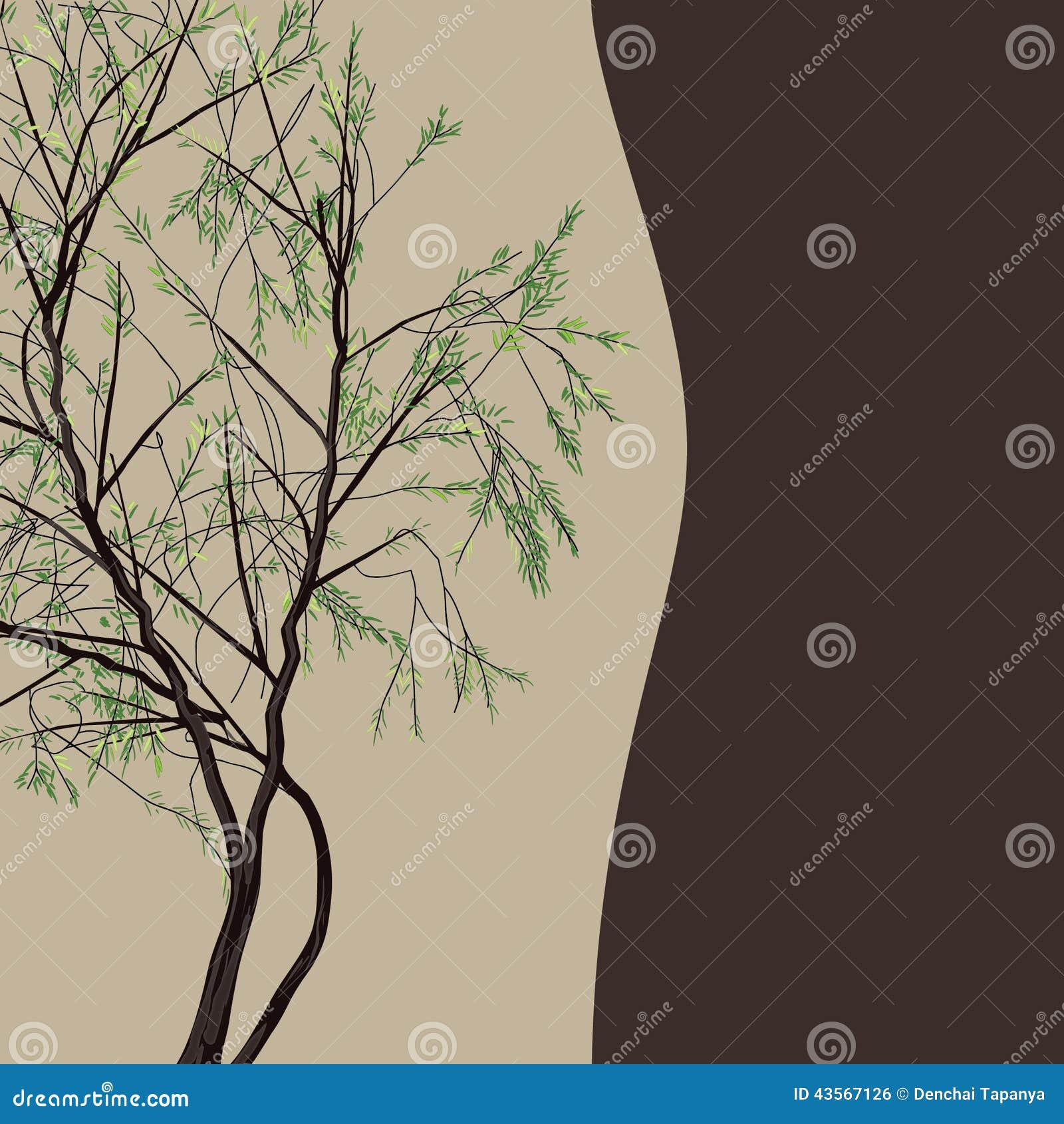 Decorative Design Vector Frame Willow Tree Stock Vector - Illustration ...