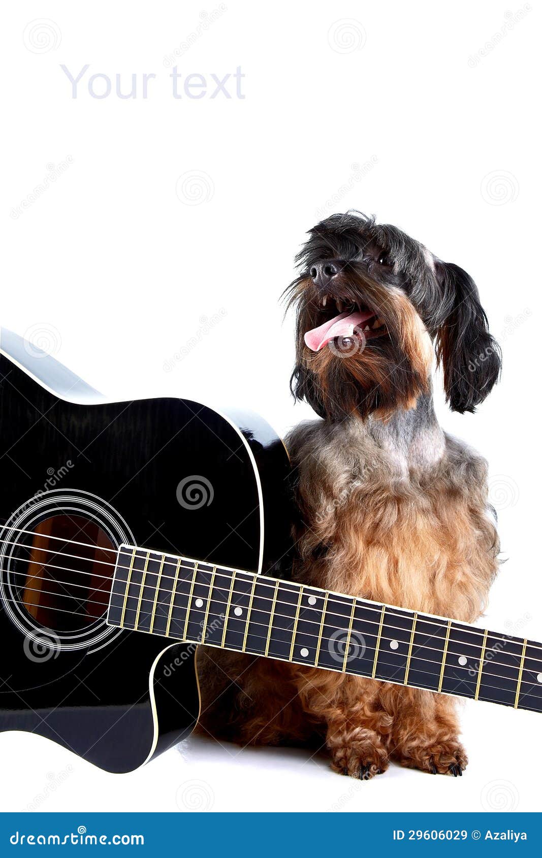 Decorative Doggie and Guitar. Stock Image - Image of melody, doggie ...