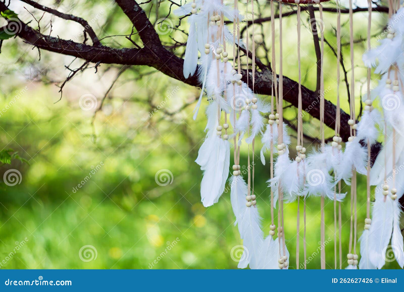Decorative Dreamcatcher on Forest Nature Background. Amulet Stock Photo ...