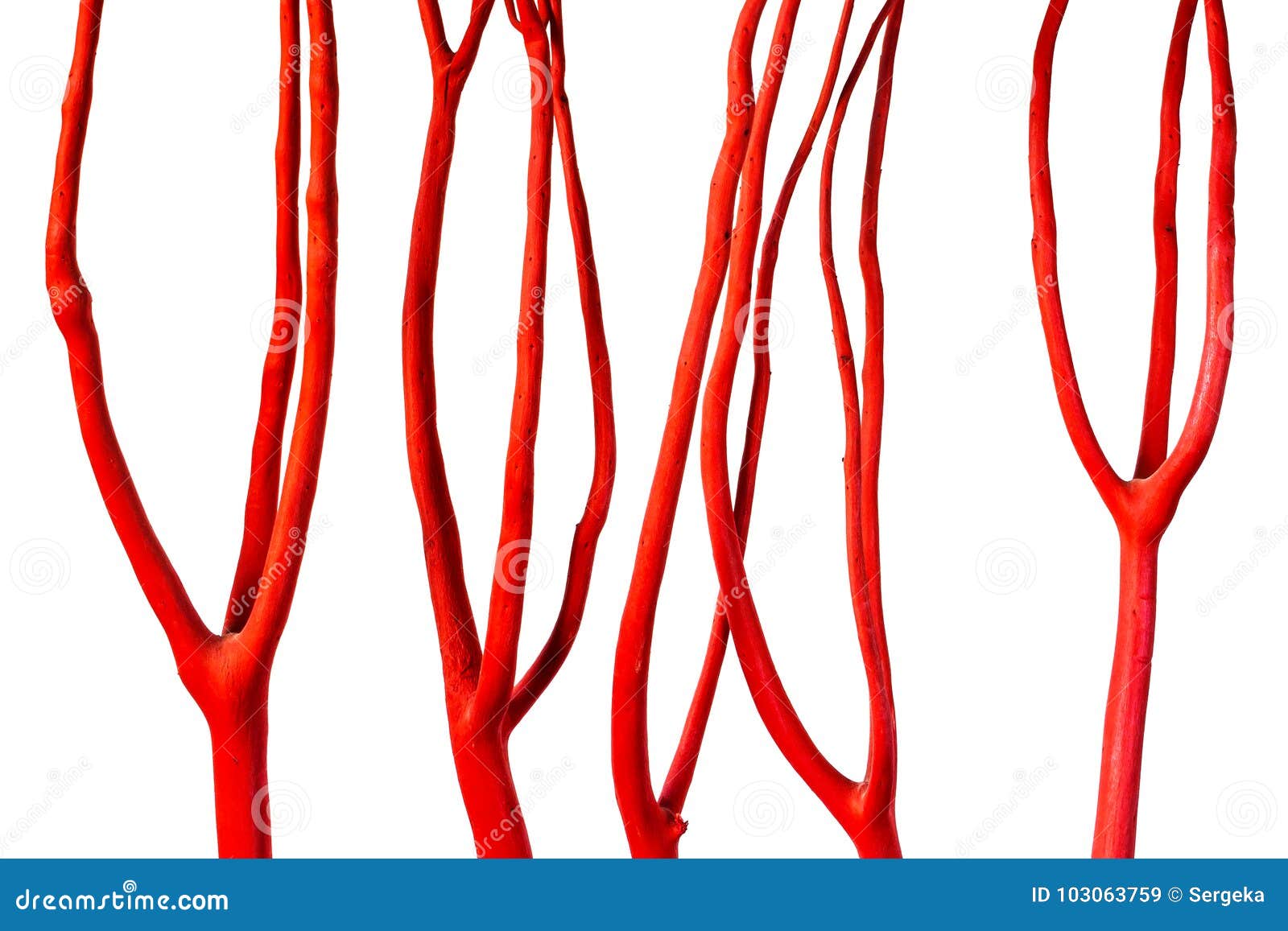 Decorative Dry Tree Branches Stock Image - Image of shape, object ...