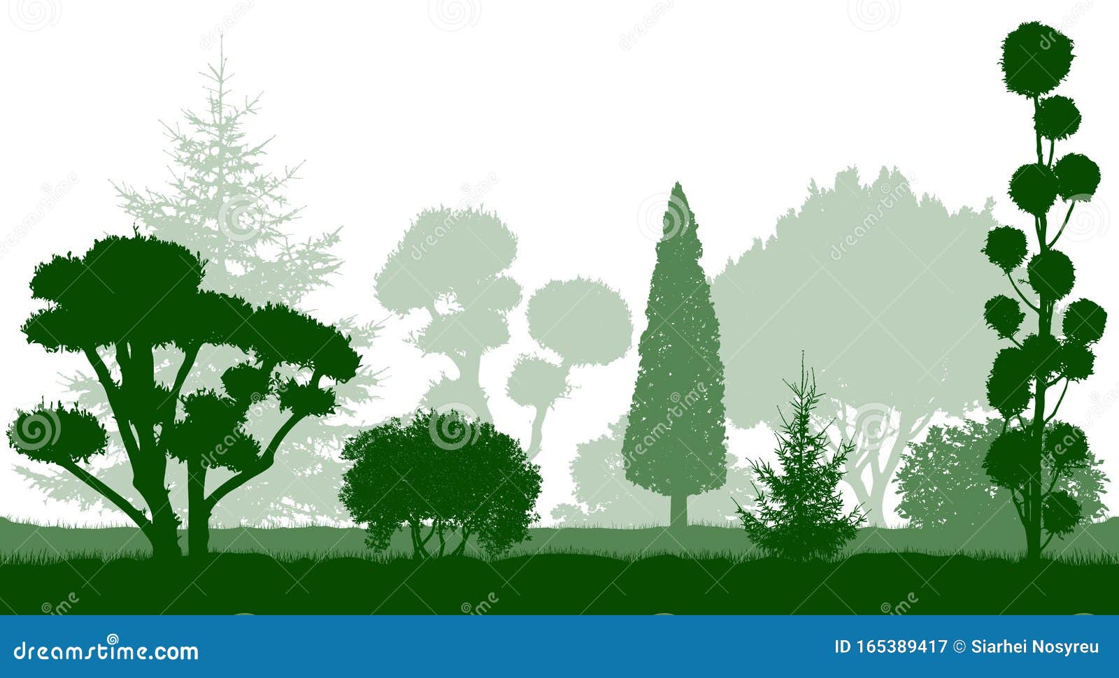 Decorative Dwarf Trees, Garden Conifers. Silhouettes. Vector ...