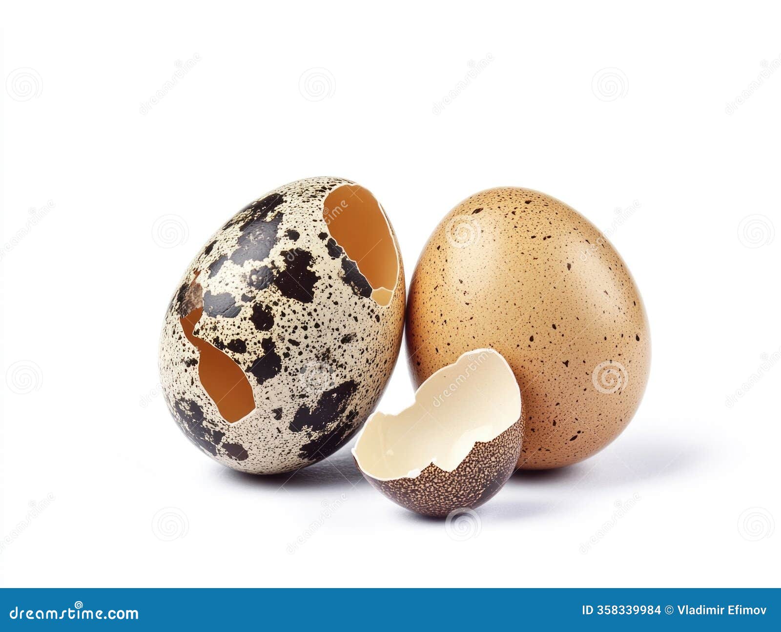 Decorative Egg Shells stock illustration. Illustration of eggs - 358339984
