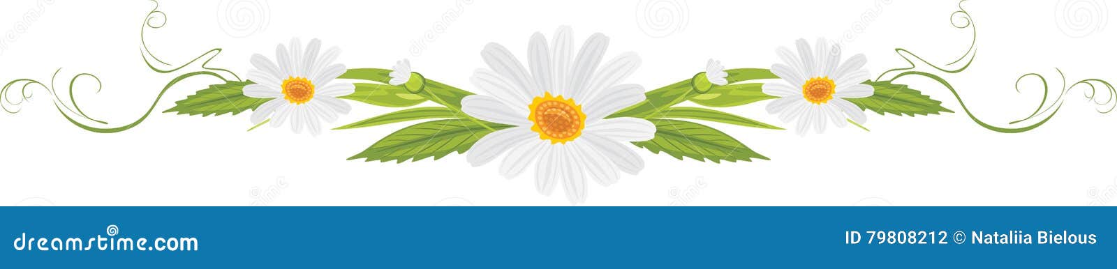 Decorative Element with Daisies Stock Vector - Illustration of deco ...