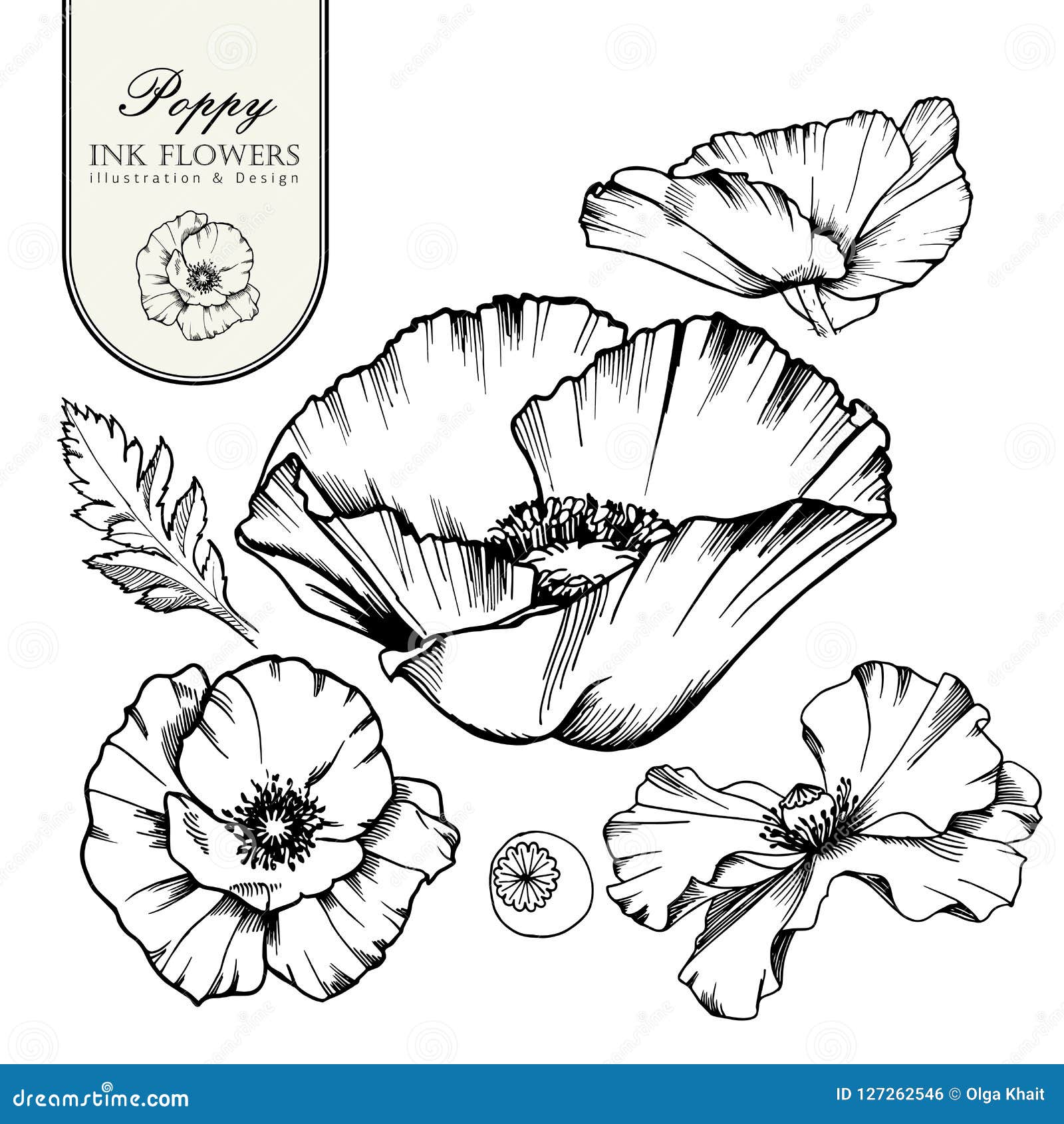 Decorative Elements Set. Hand Drawn Vector Ink Illustration of Poppy ...