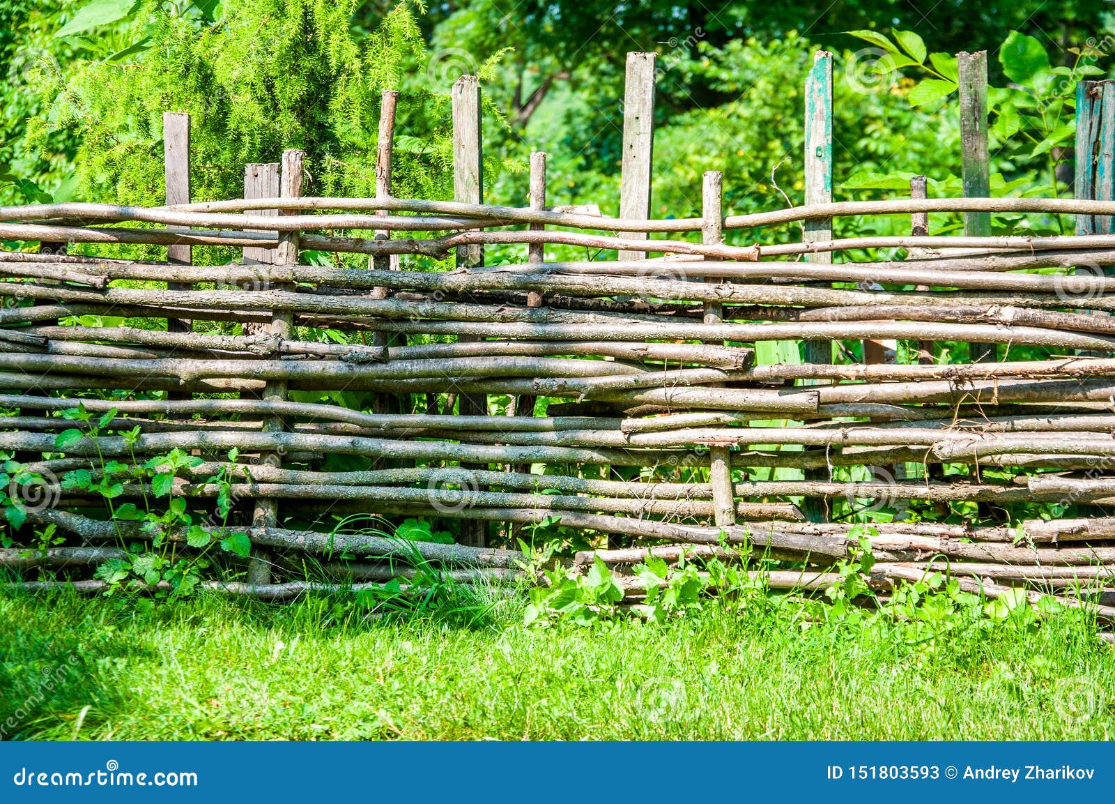 Decorative Fence of Thin Branches of Trees. Stock Image - Image of path ...