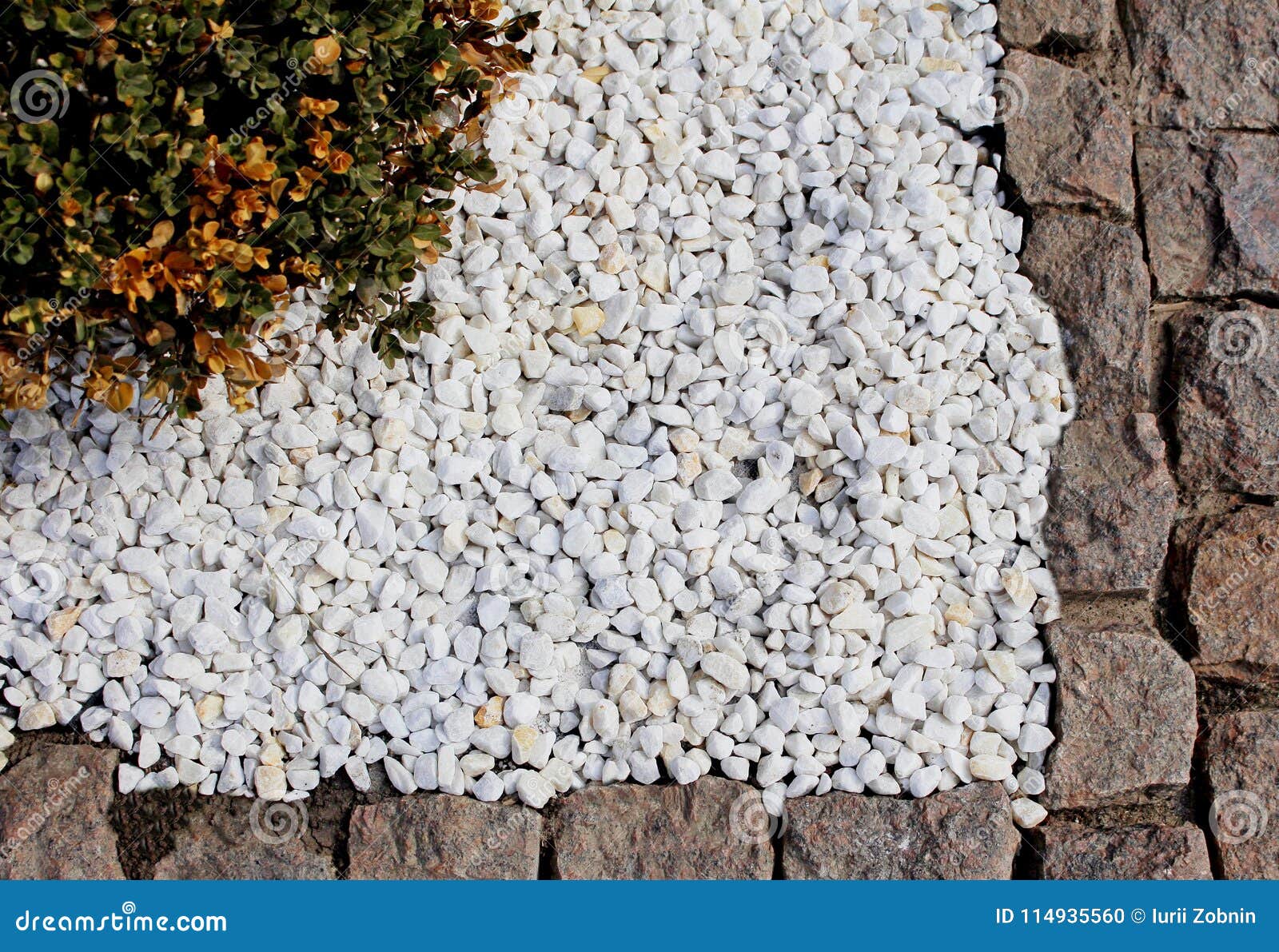 Decorative Flower Bed Decorated with Stone Stock Photo - Image of ...