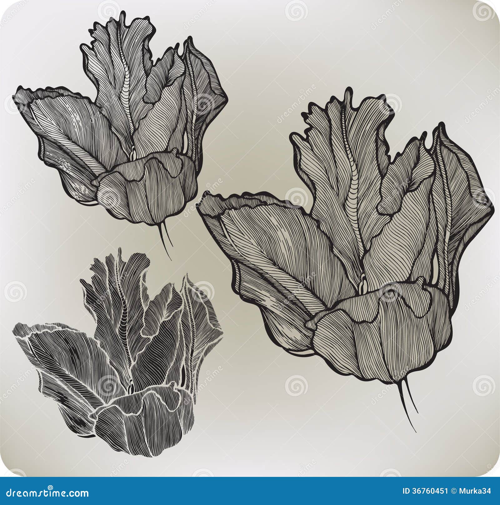 Decorative Flower Tulip, Hand-drawing. Vector Illustration. Stock ...