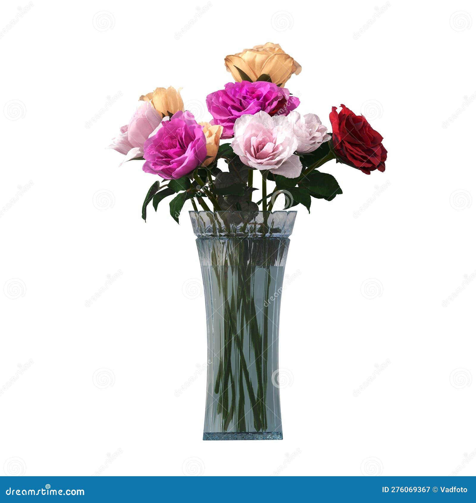 Decorative Flowers And Plants For The Interior Stock Image Illustration Of Beautiful Plants