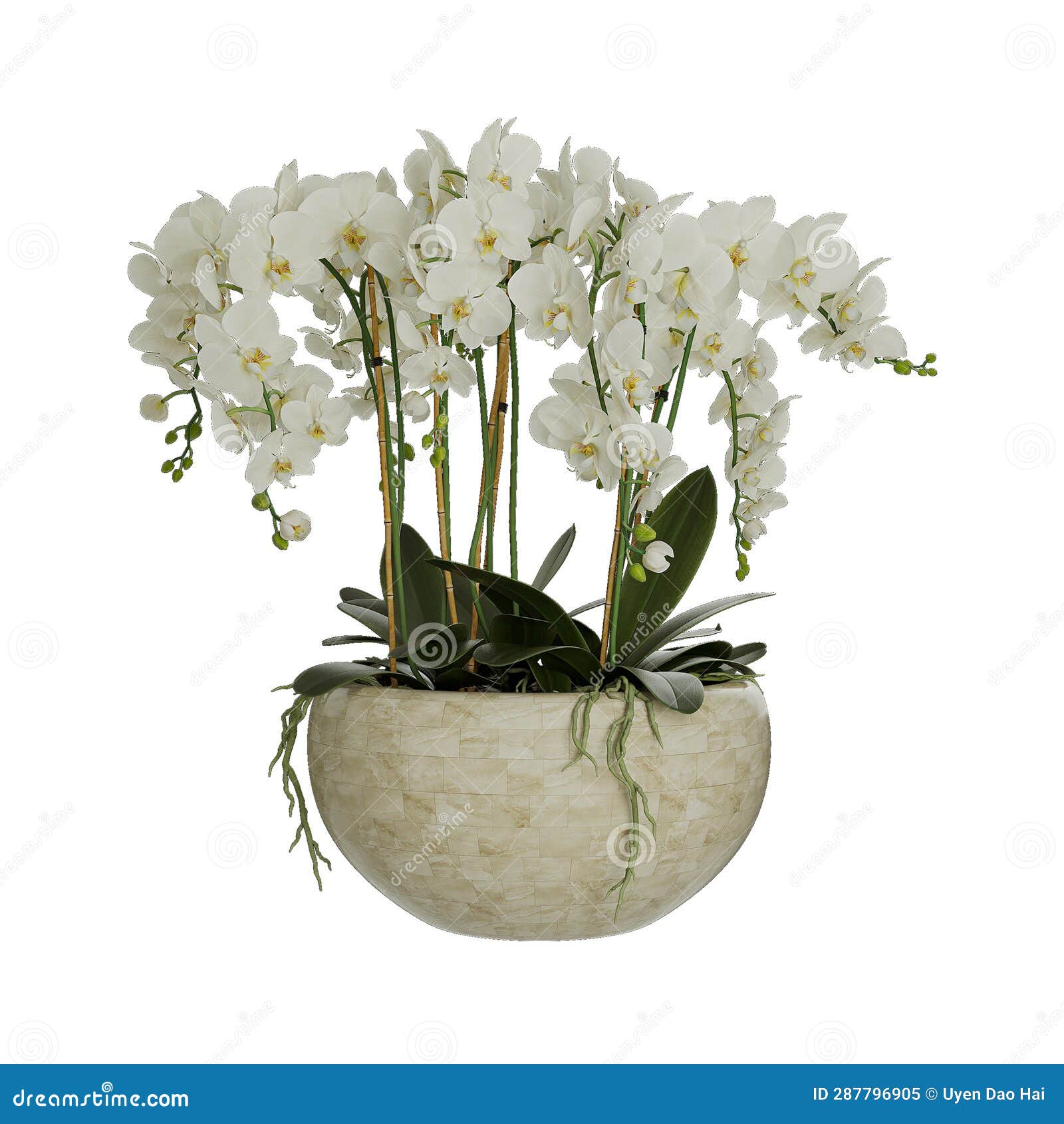 Beautiful Decorative Flower Vase on a White Background Stock Image ...