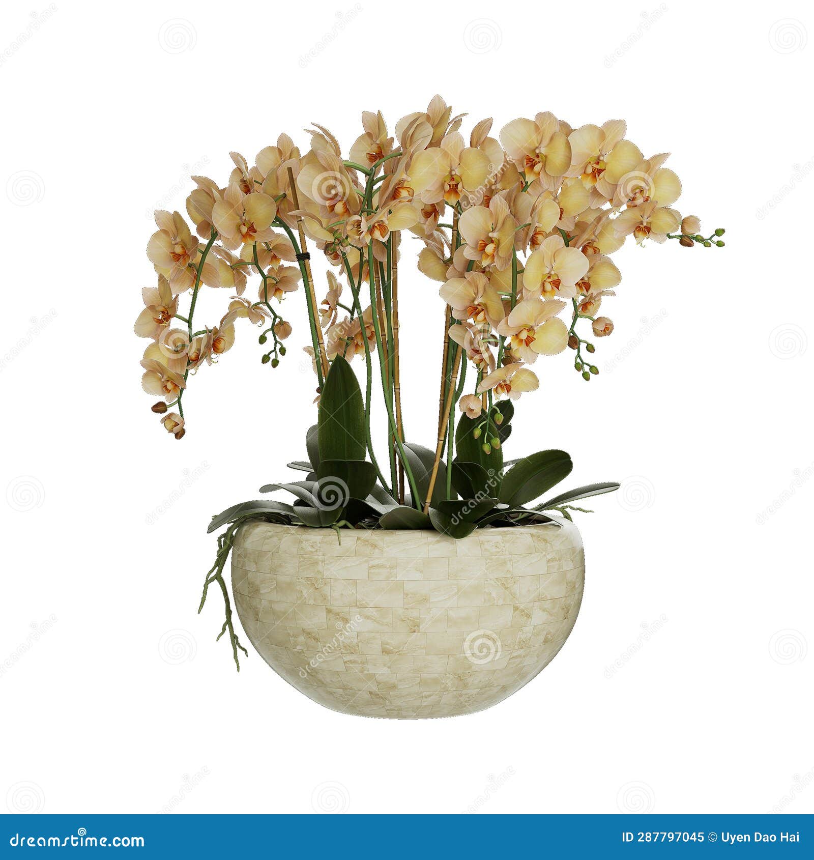 Beautiful Decorative Flower Vase on a White Background Stock Image ...