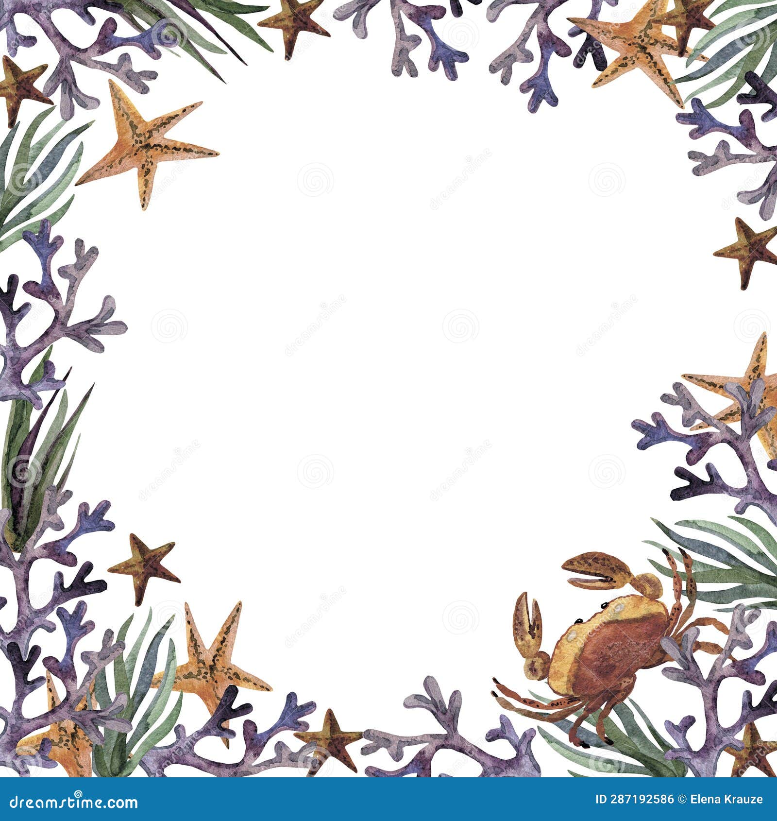 Decorative Frame Crab, Shells, Mollusks, Algae, Starfish, Corals ...