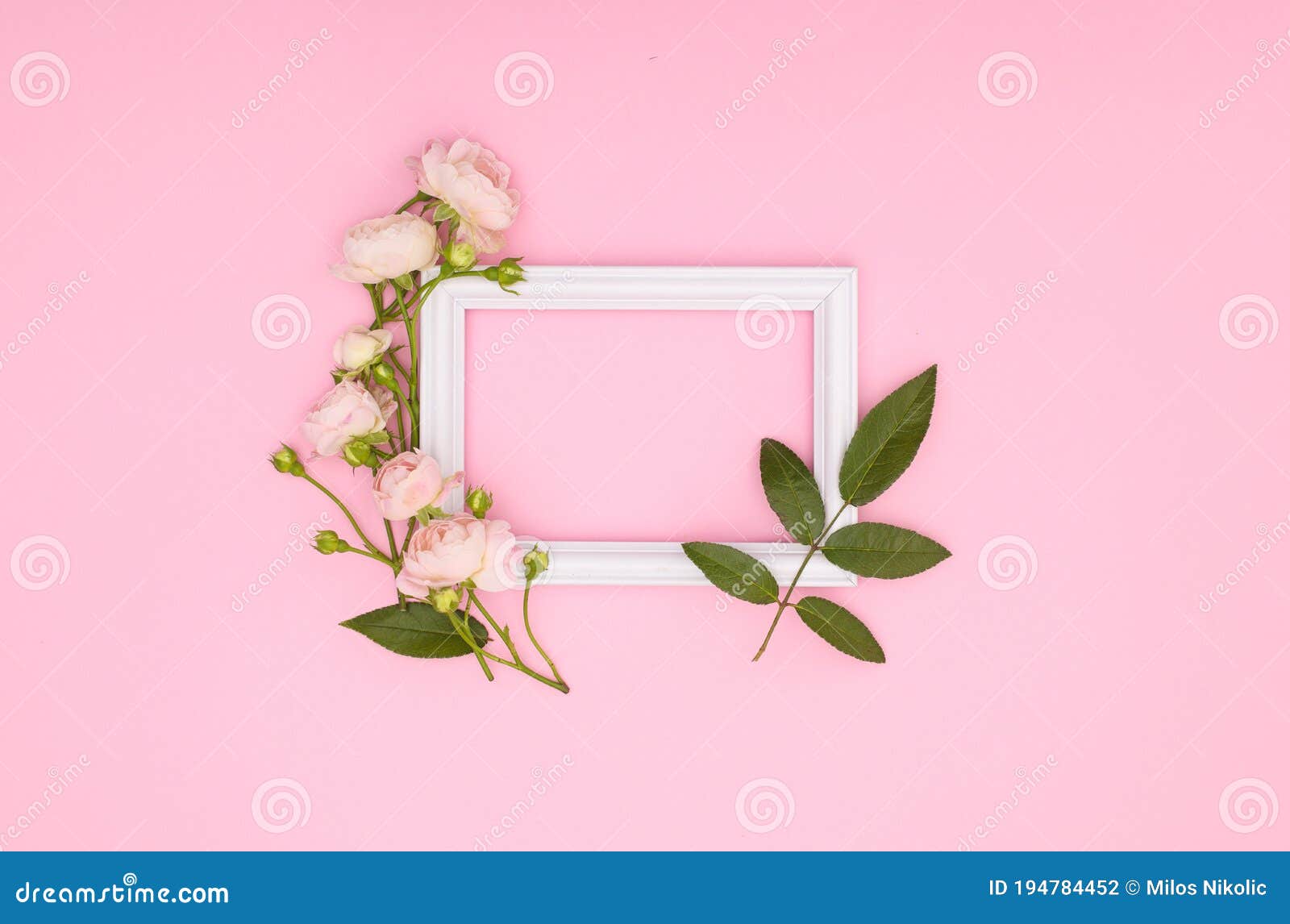 Decorative Frame on Pink Background Stock Photo - Image of decorative ...