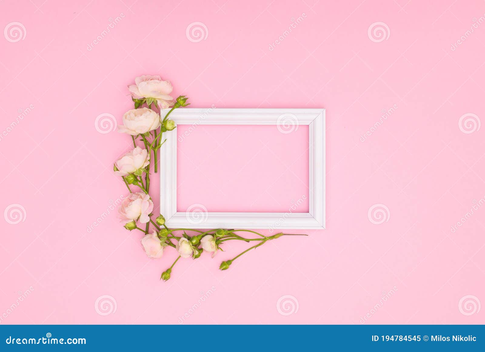 Decorative Frame on Pink Background Stock Image - Image of abstract ...