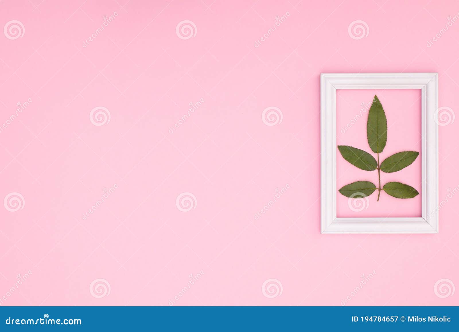 Decorative Frame on Pink Background Stock Image - Image of deco ...