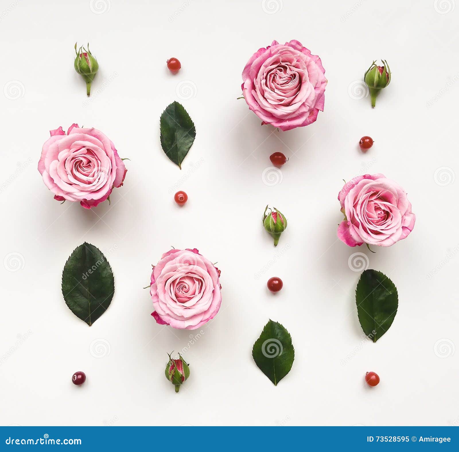 Decorative Frame with Pink Bright Roses and Leaves on White Background ...