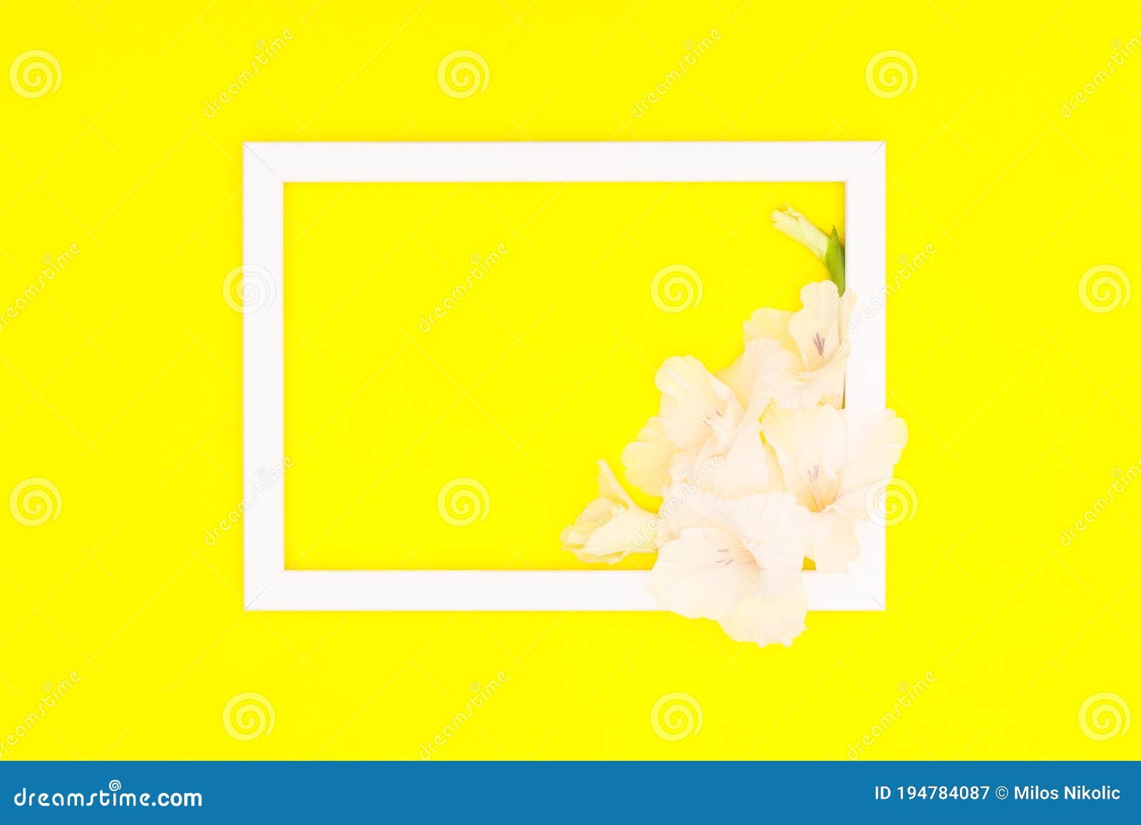 Decorative Frame on Yellow Background Stock Image - Image of border ...