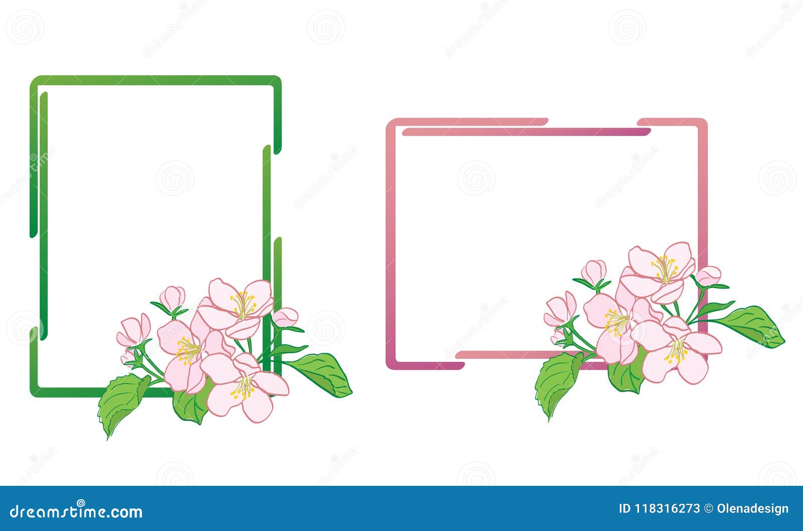 Decorative Frames with Apple-tree Flowers - Vector Stock Vector ...