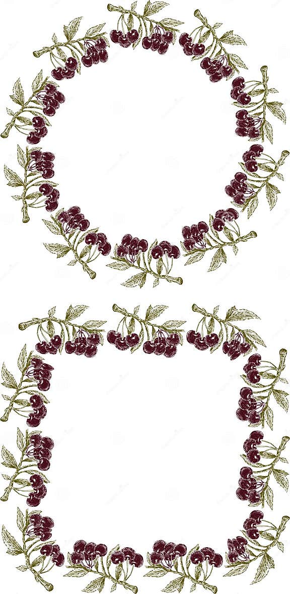 Decorative Fruit Frames of Sketches Ripe Cherries Berries Stock Vector ...
