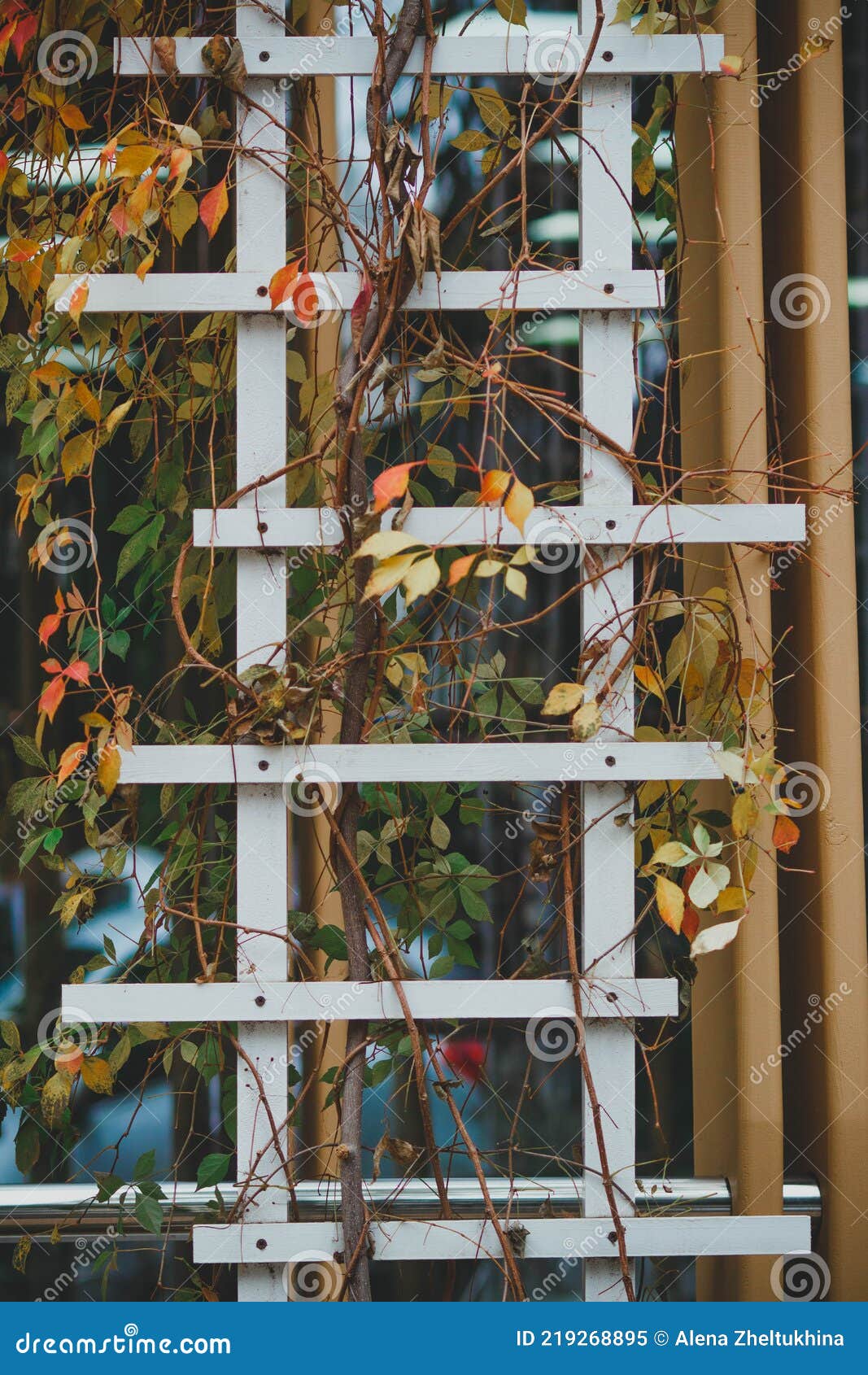 Decorative Garden Element at Home Stock Image - Image of background ...