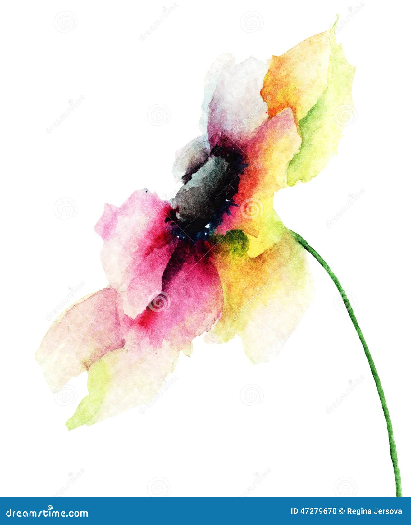 Gerber Flower Infinity Spiral Abstract Background Stock Photography ...