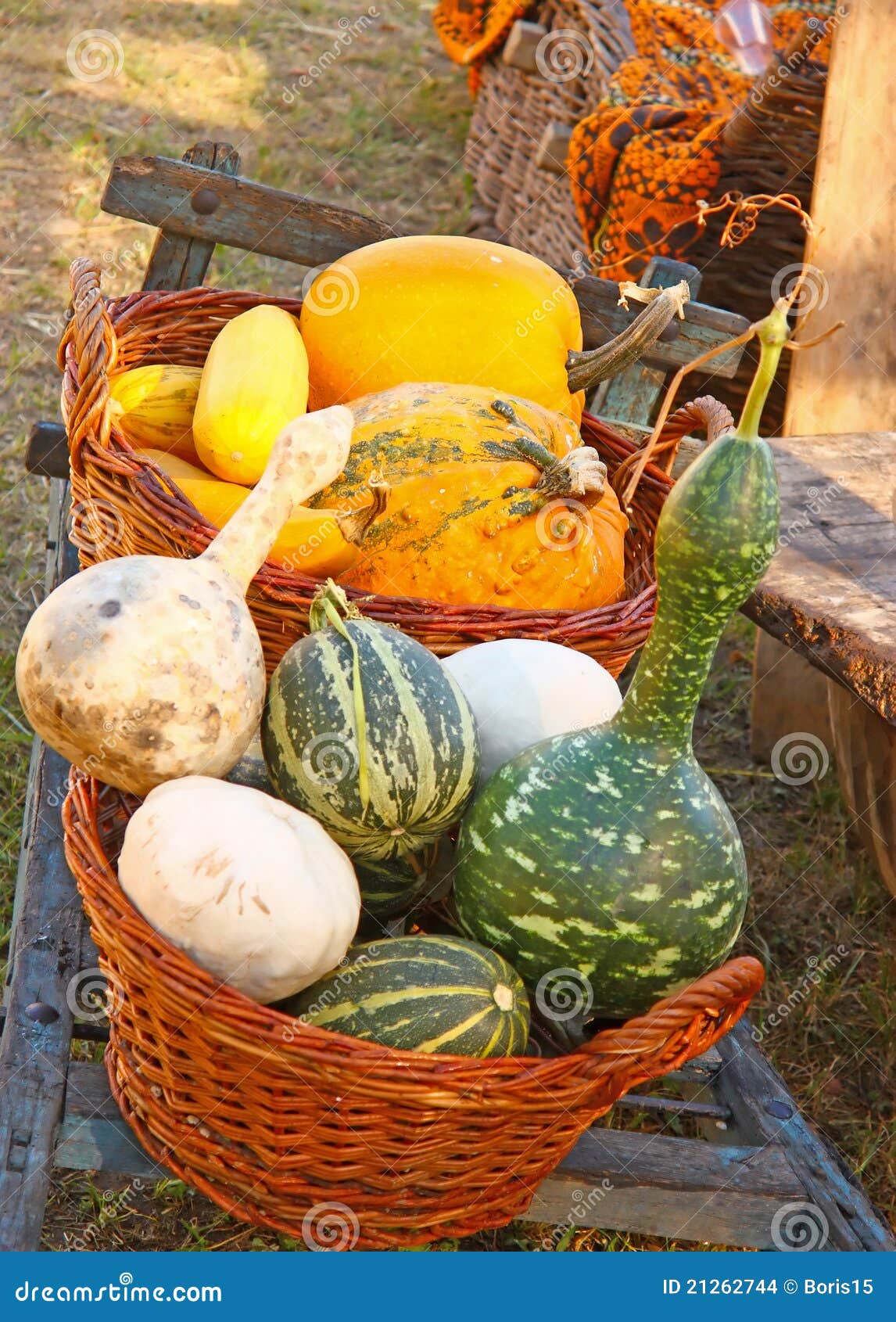 Decorative gourd stock photo. Image of natural, white - 21262744