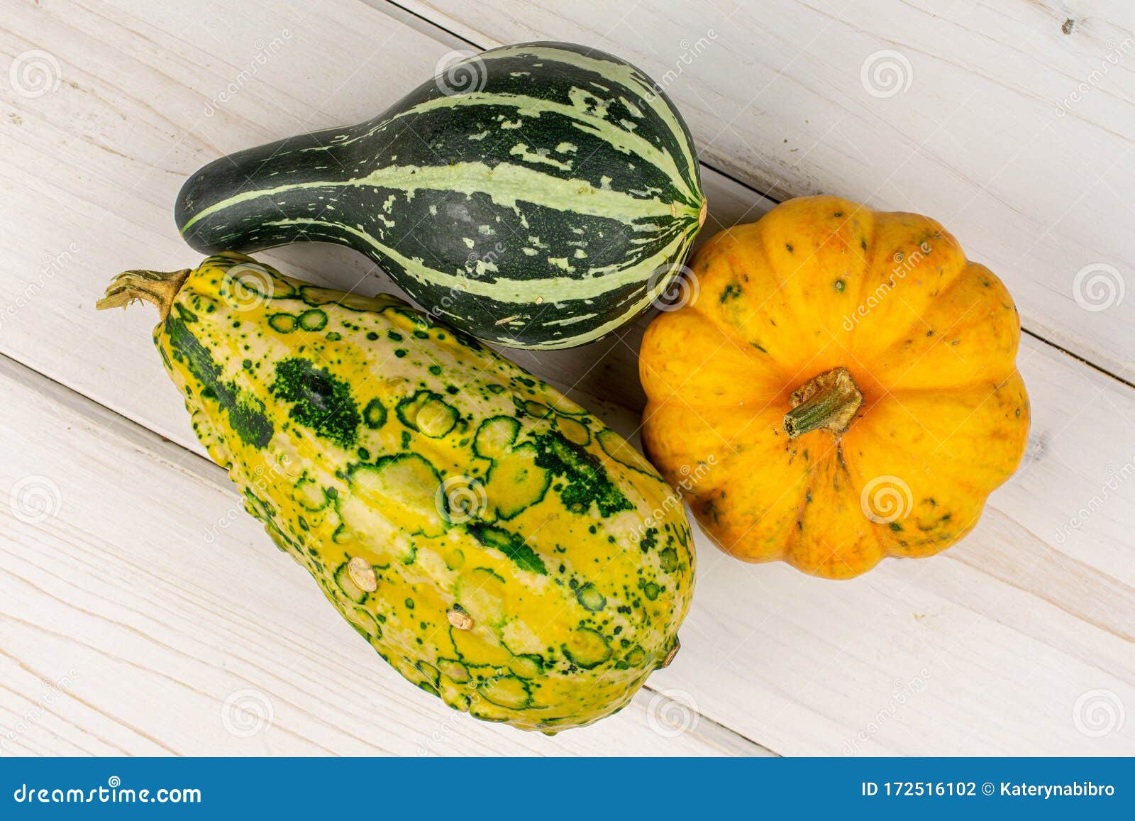 Decorative Gourd on Grey Wood Stock Photo - Image of rich, pumpkin ...