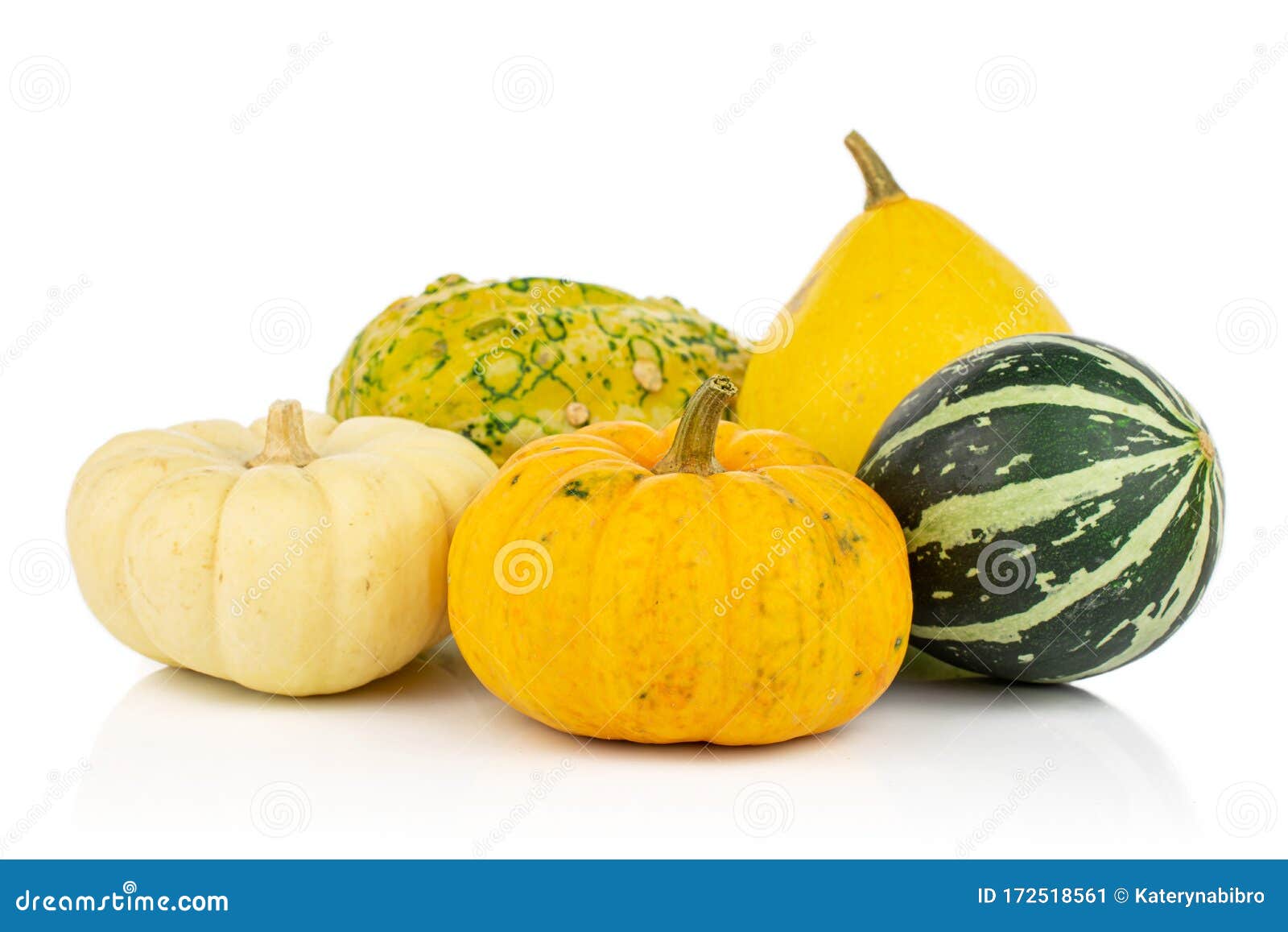 Decorative Gourd Isolated on White Stock Image - Image of isolated ...