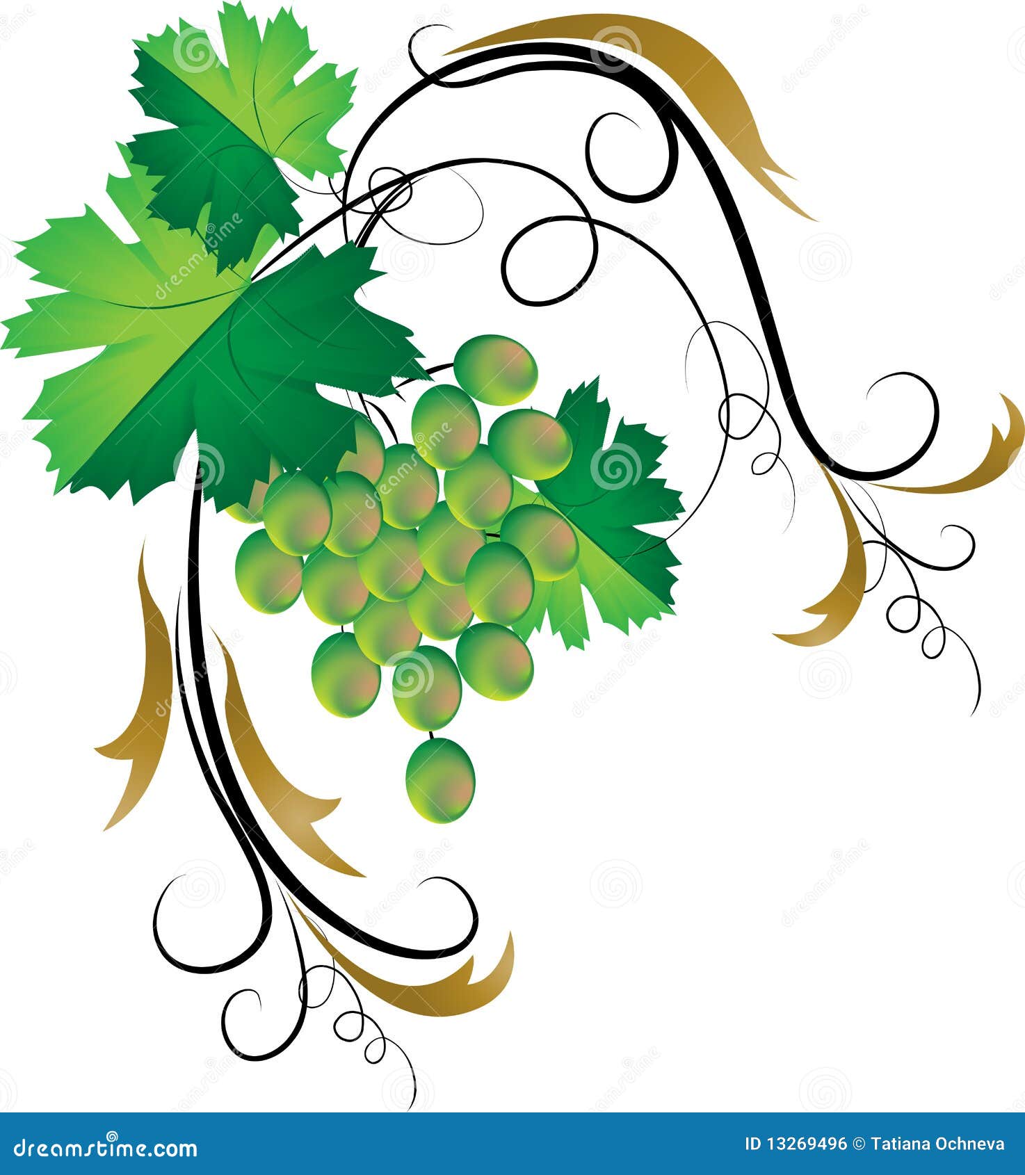 Decorative grapevine stock illustration. Illustration of nature - 13269496