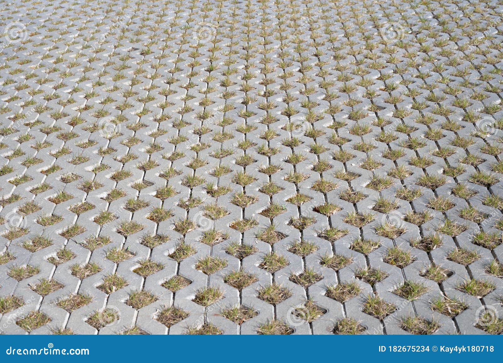 Decorative Gray Path Laid Out on the Lawn Stock Photo - Image of ...