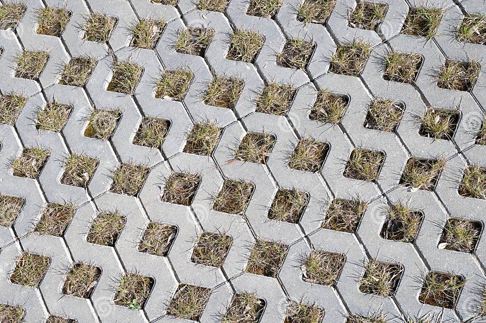 Decorative Gray Path Laid Out on the Lawn Stock Image - Image of walk ...