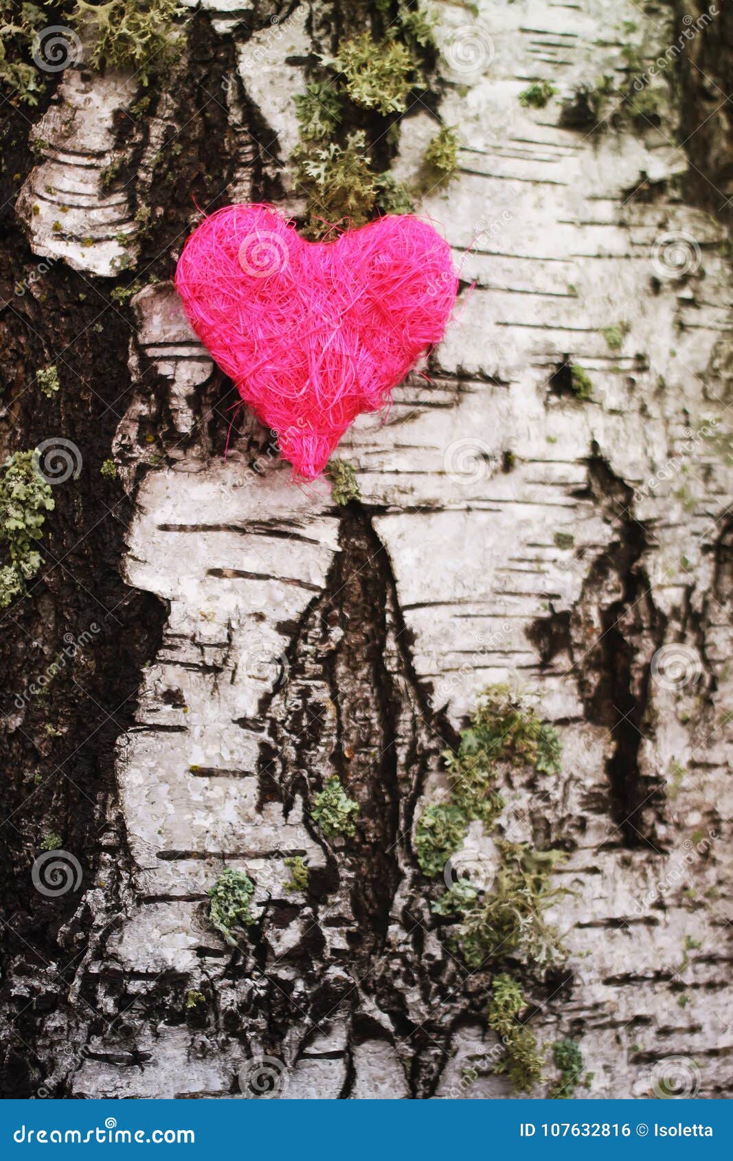 Decorative Heart on Tree Bark. Stock Photo - Image of heart, bark ...