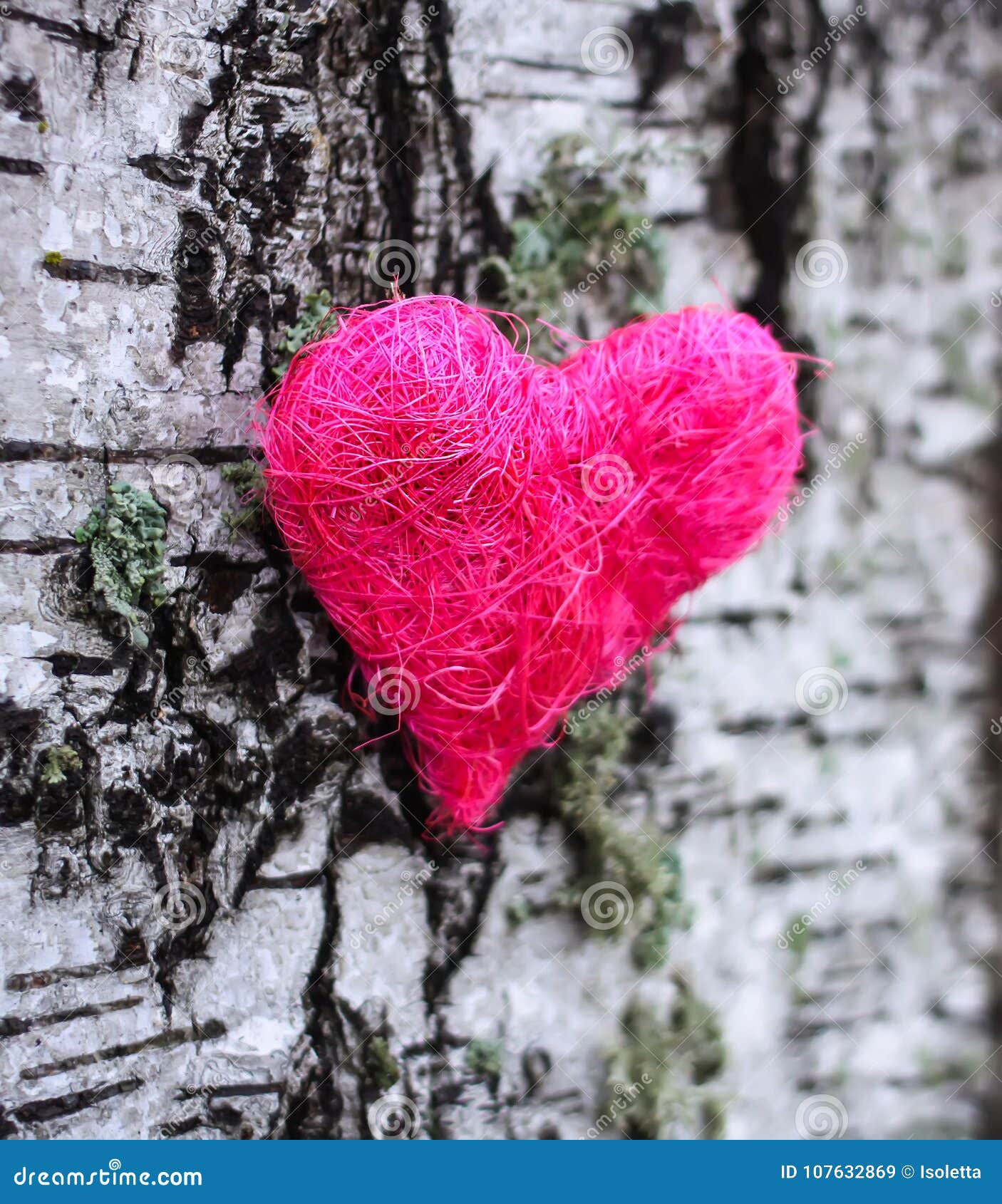 Decorative Heart on Birch Tree. Stock Image - Image of colorful ...