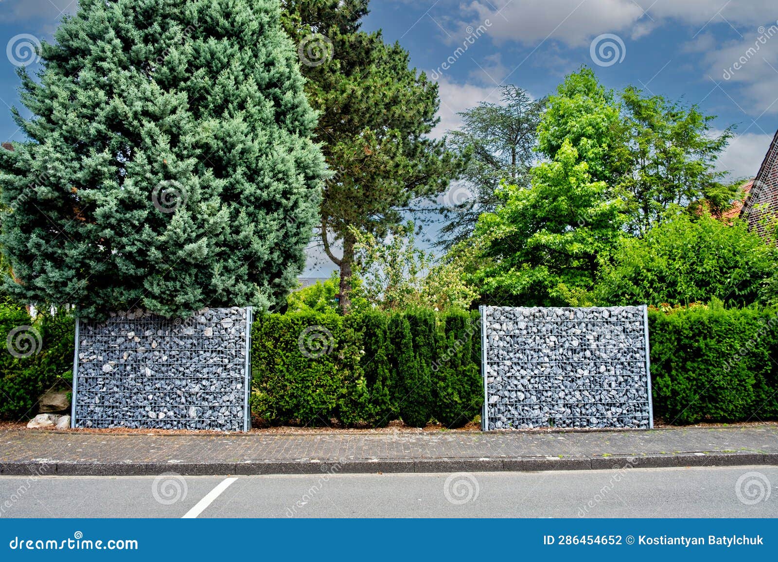 Decorative Hedge in the Form of Green Shrubs and Metal Mesh with Stones ...