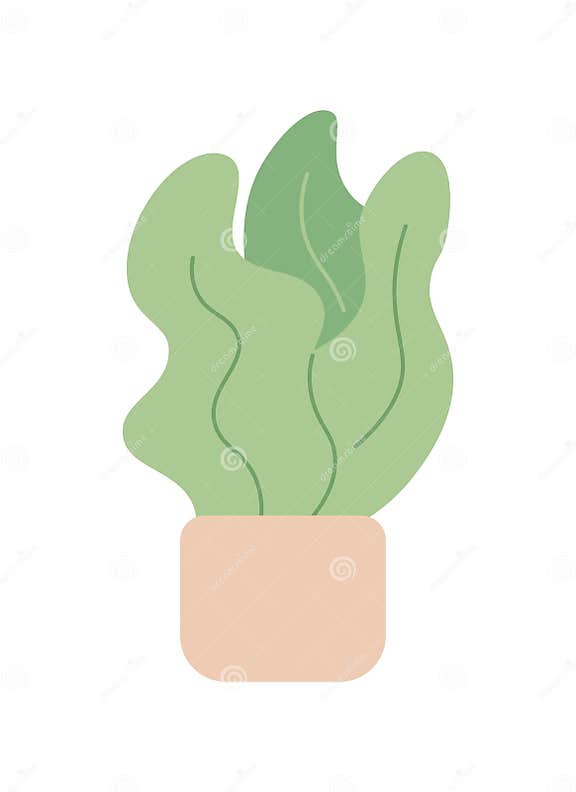 Decorative House Plant In Ceramic Pot Semi Flat Colour Vector Object