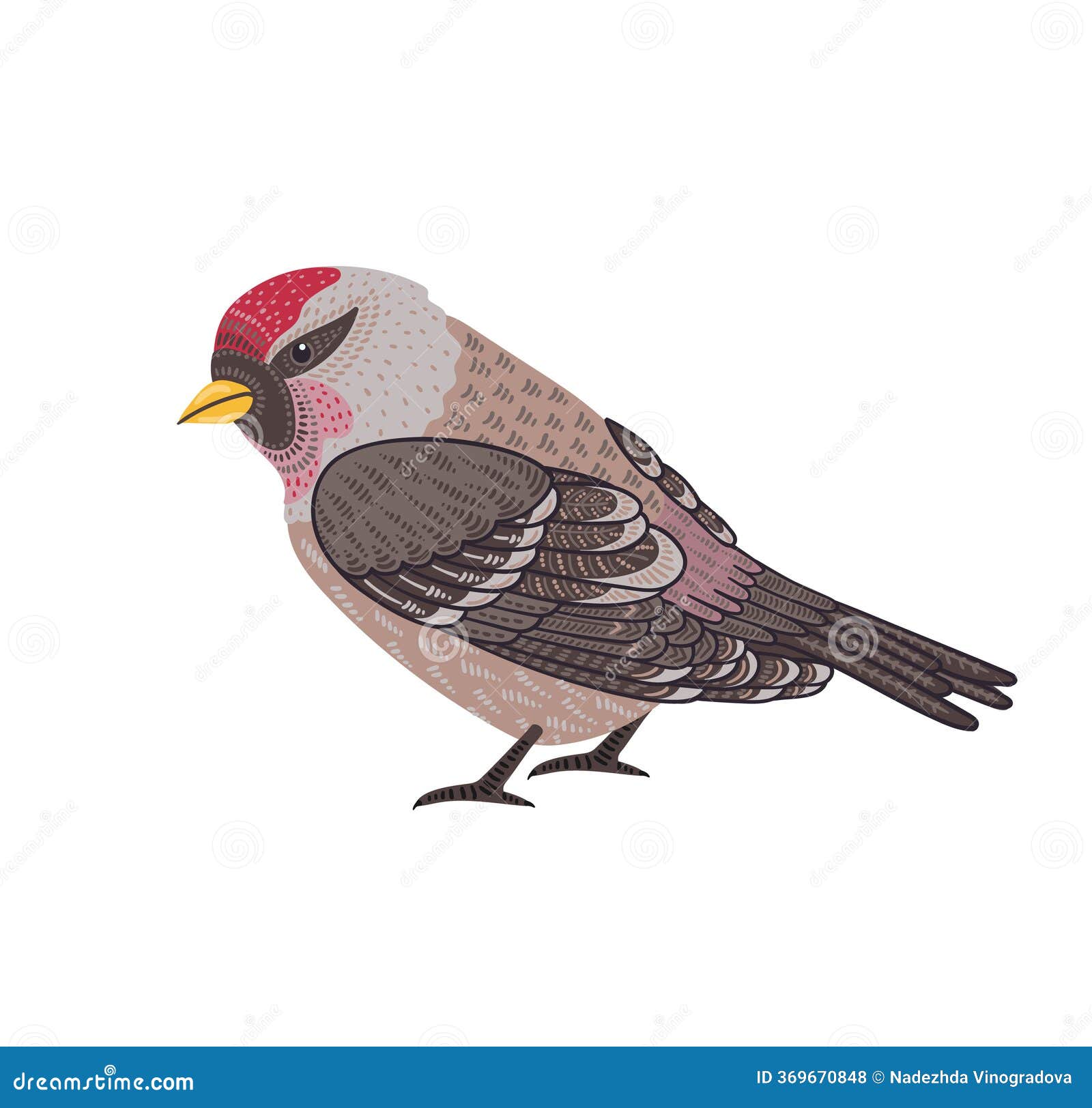 Redpoll Cartoons, Illustrations & Vector Stock Images - 184 Pictures to ...