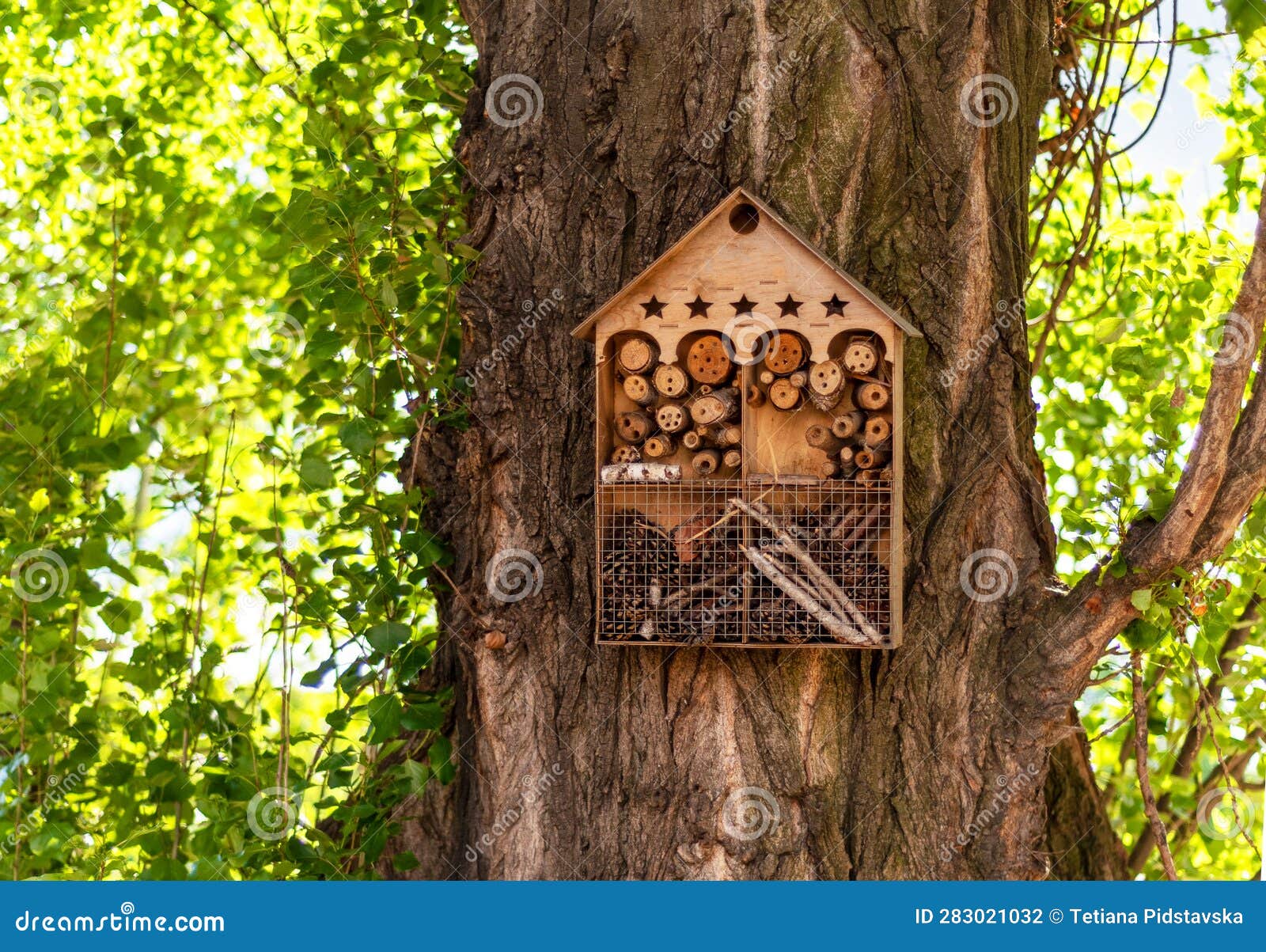 Decorative Insect House with Compartments and Natural Components in a ...