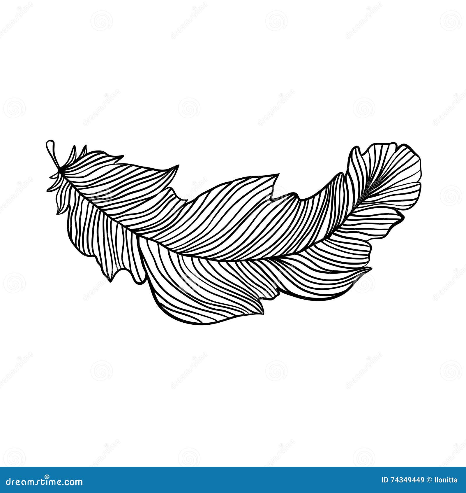 Decorative Isolated Feather. Stock Vector - Illustration of indian ...