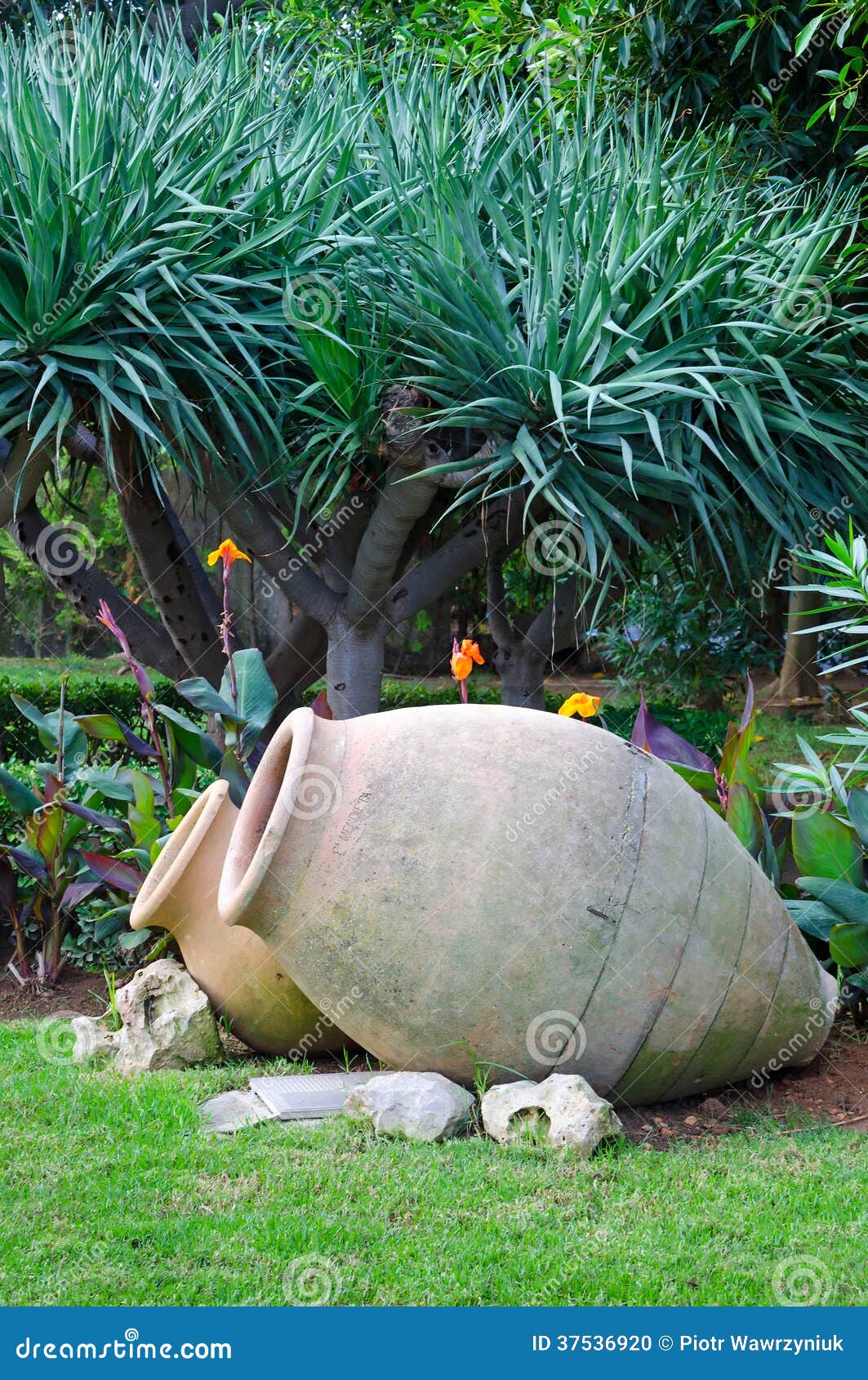 Decorative Jugs in Tropical Garden Stock Photo - Image of mediterranean ...