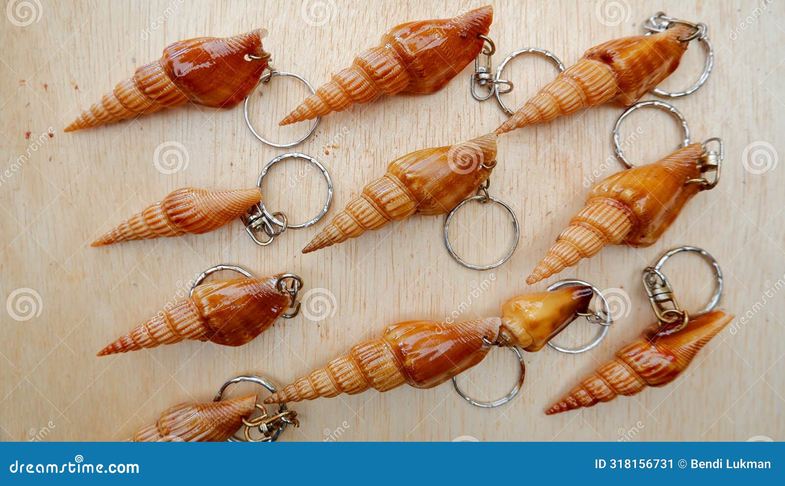 Decorative Key Chains Made from Sea Snail Shells Stock Image - Image of ...
