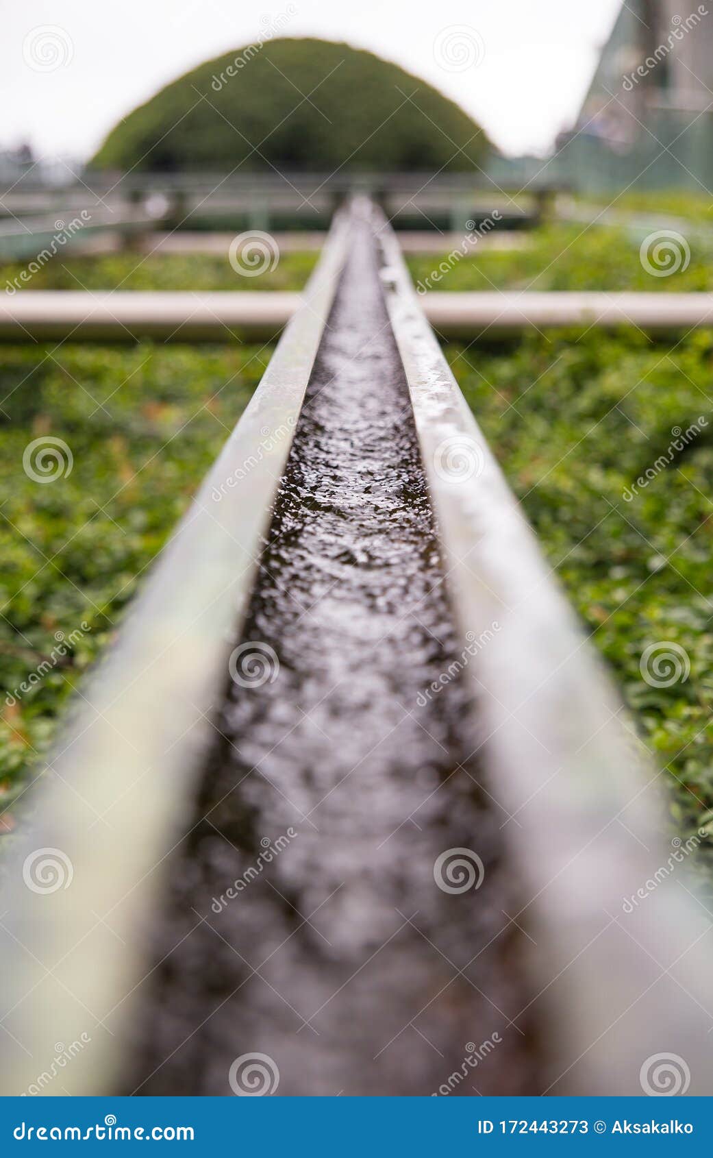 Decorative Lawn Irrigation System Of The Gutter Type. Royalty-Free ...