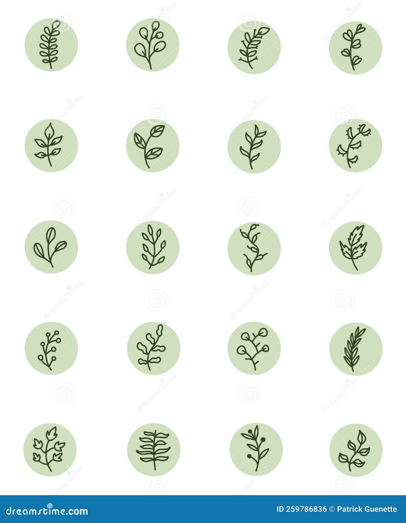 Decorative Leaves on a Branch, Icon Stock Vector - Illustration of ...