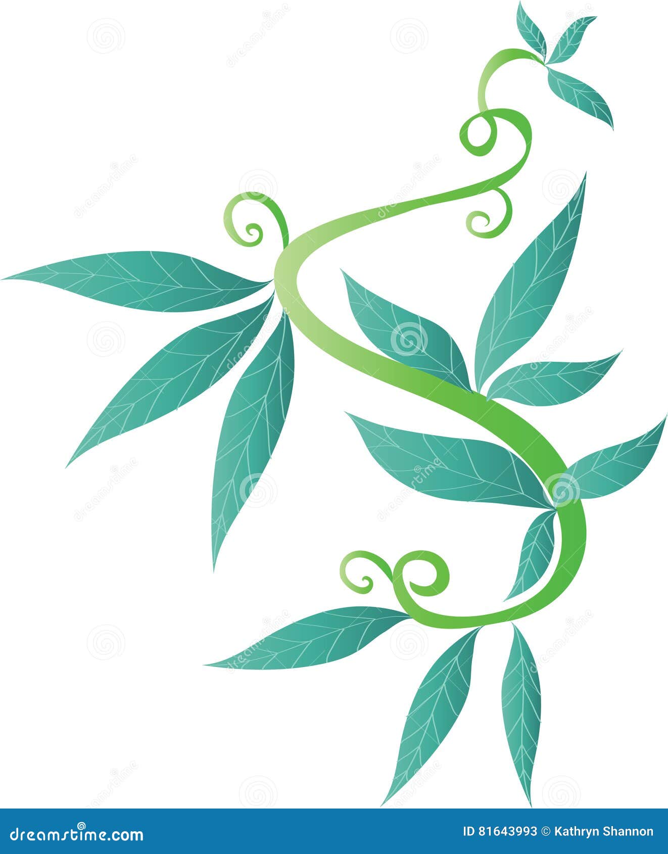Decorative leaves stock vector. Illustration of tree - 81643993
