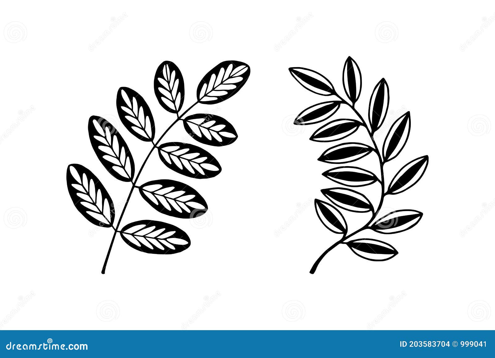 Decorative Leaves. Vector Stock Illustration Eps10. Stock Vector ...